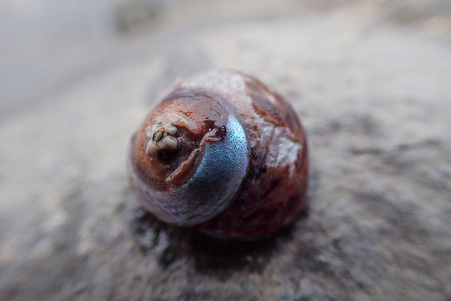 Monknash and the Anthropocene – Seasonalight