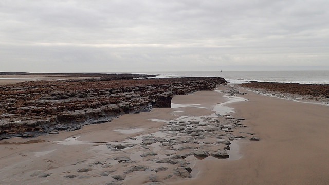 Monknash and the Anthropocene – Seasonalight