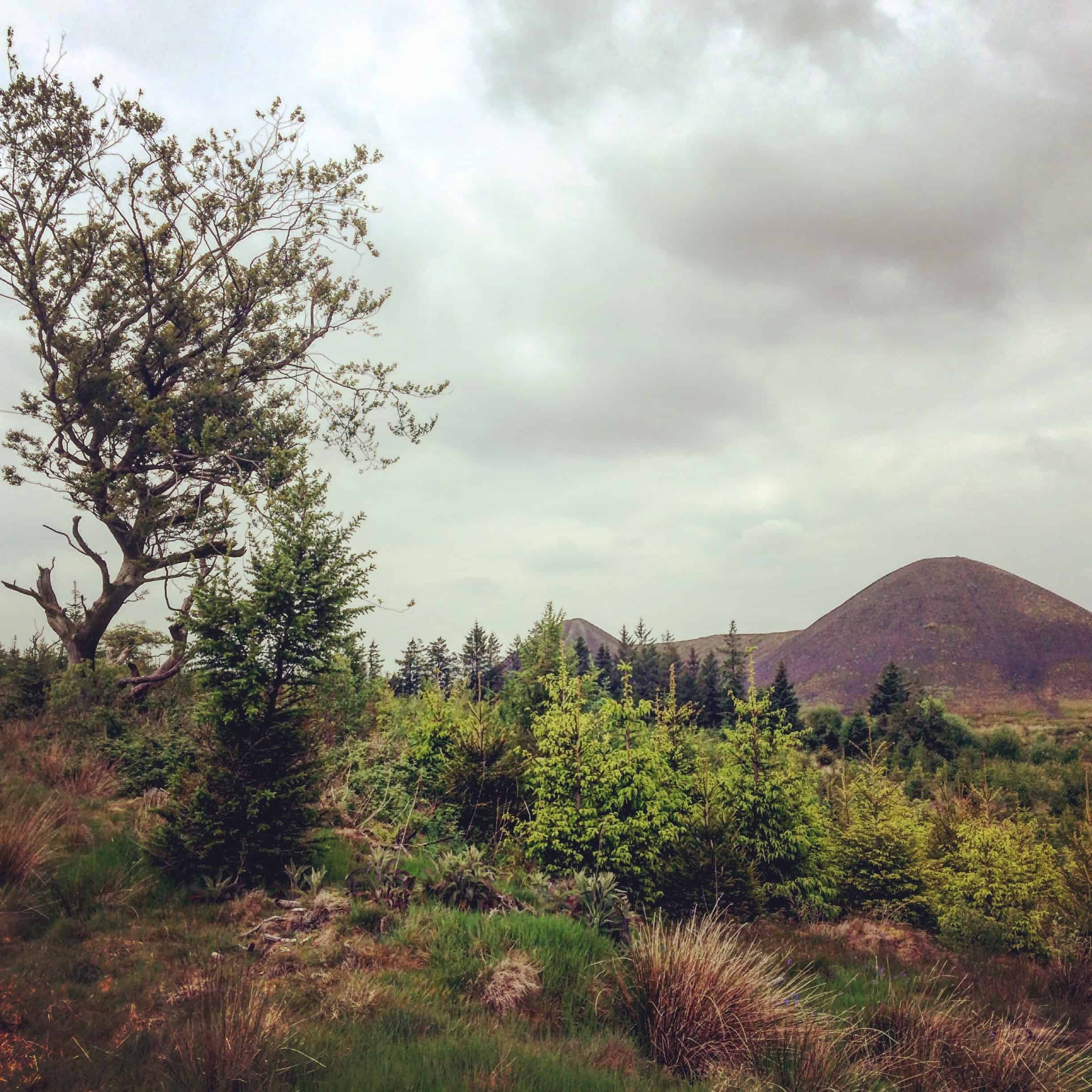 Llanbradach, and fear. – Seasonalight